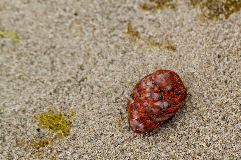 IMG-0013.jpg - Ranarion.de