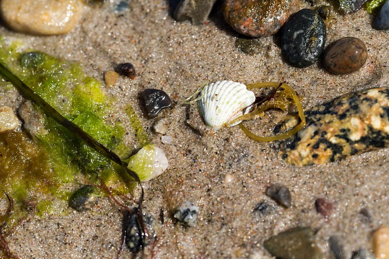 IMG-1943.jpg - Ranarion.de